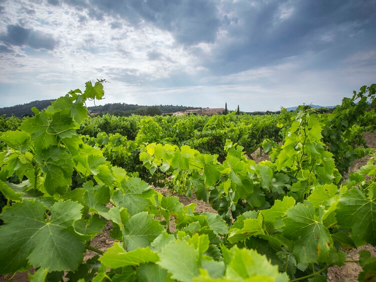 Pujol Cargol – Paísdevins